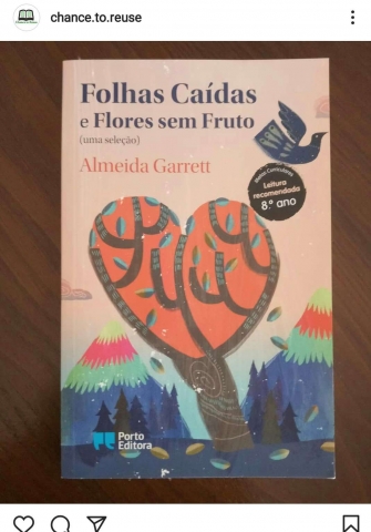 Folhas caídas e Flores sem fruto | Trade Stories